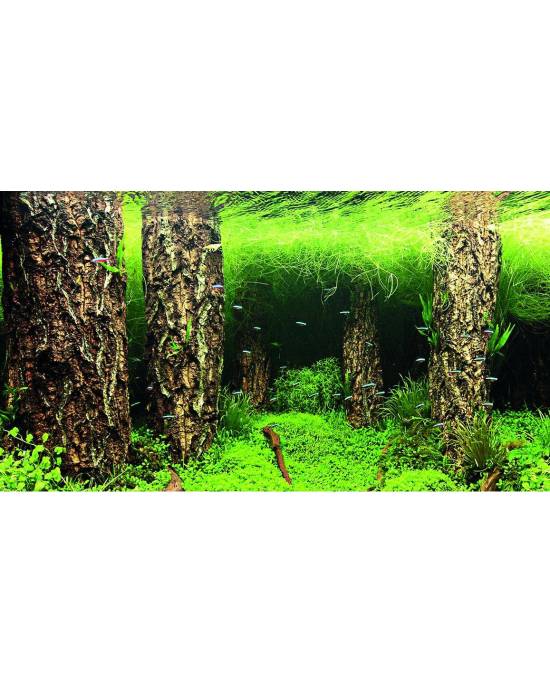 Hobby - Poster - 2 faces - Scaper's Hill/Forest - 60 cm x 25 m